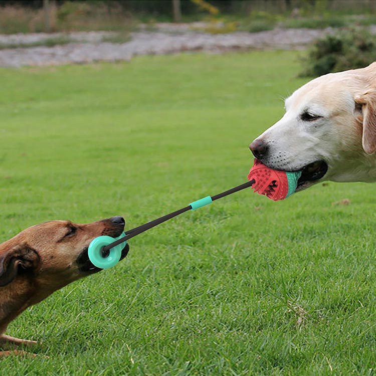 Dog Toys – PETDURO